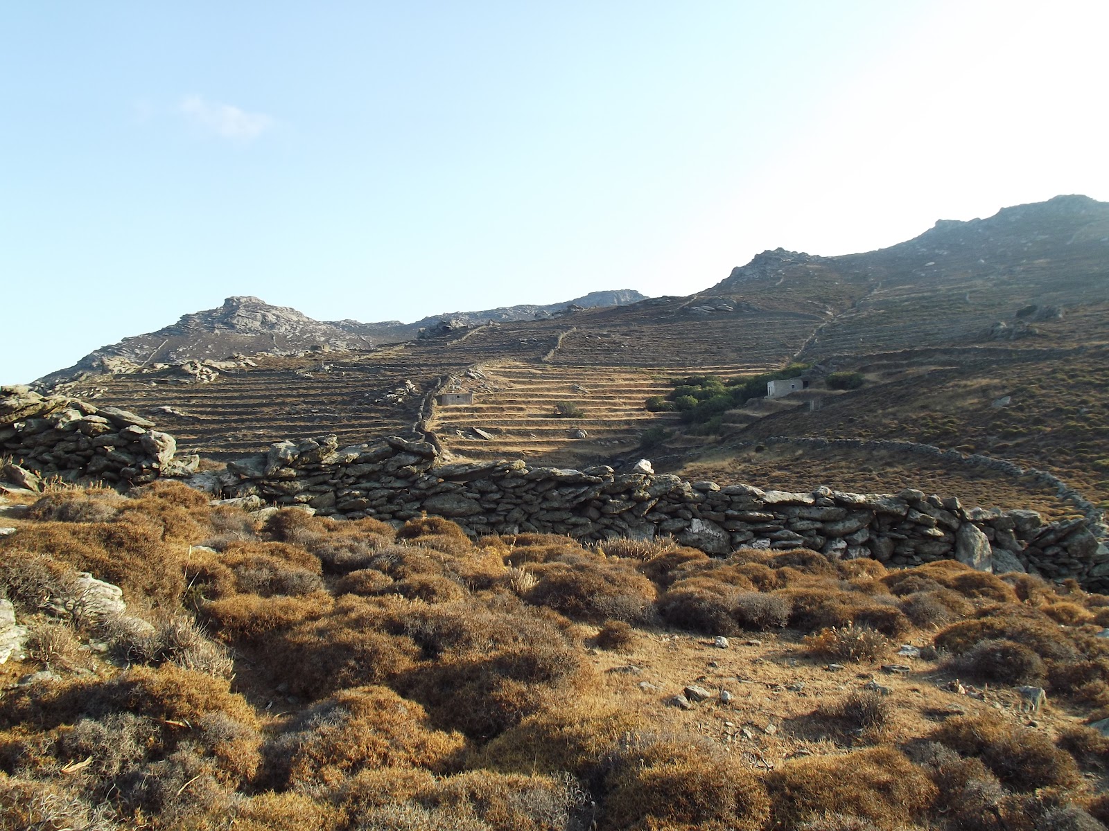 Στου Καβάση, στα Μπουρμπουνάδικα