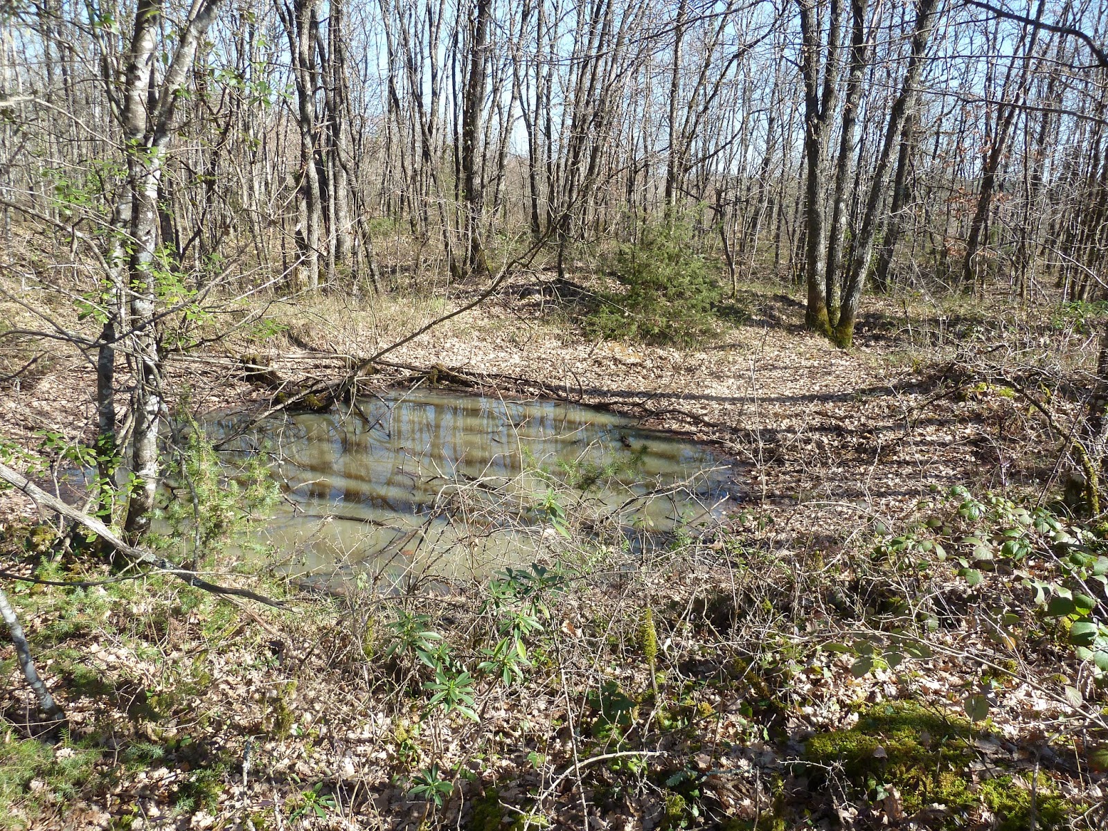 Un vrai champ de mines à Puycelsi | Centre archéologique des pays albigeois