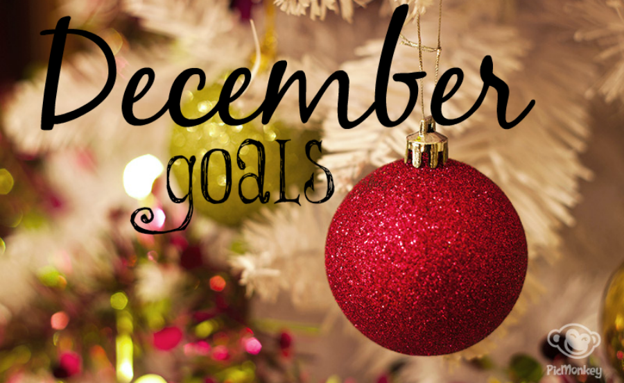 Notes from the Nelsens: December Goals
