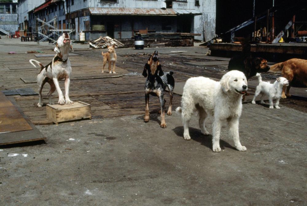 Mind of Frames: Homeward Bound 2: Lost In San Francisco + Noises Off...