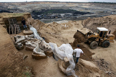 Quigley's Cabinet: Mammoth graveyard