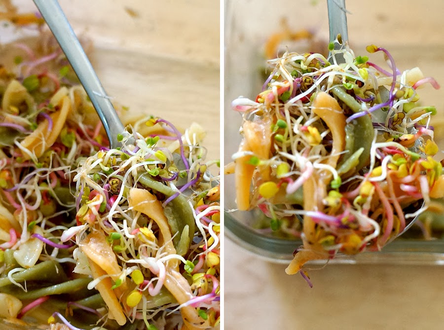 A(lfalfa) Sprouts Salad Pasta + - Theheyheyhey
