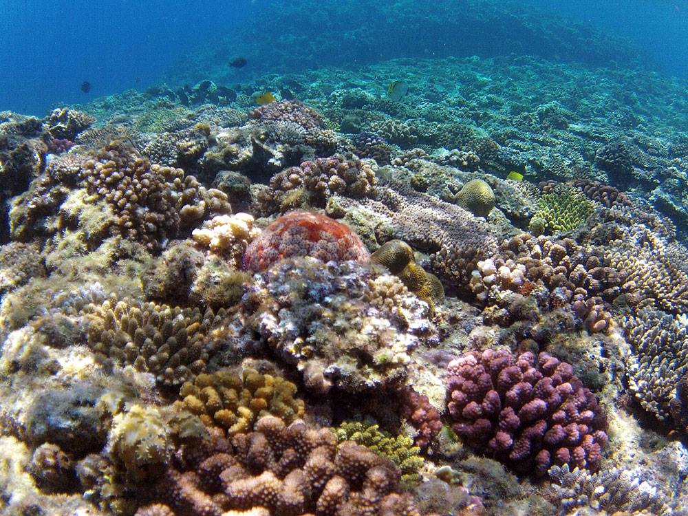 Visiter Okinawa Japon : Cape Maeda Point Okinawa