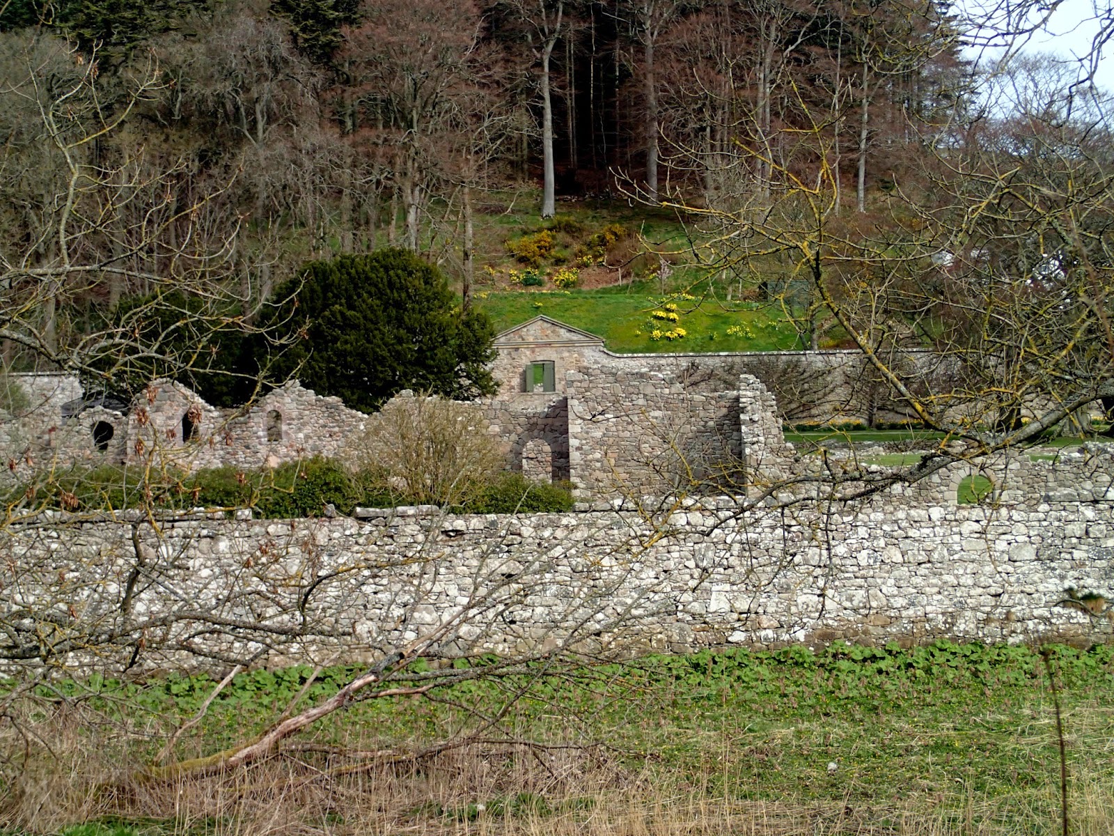 Walking The Line: Aden Park to Deer Abbey, the Garden of Buchan