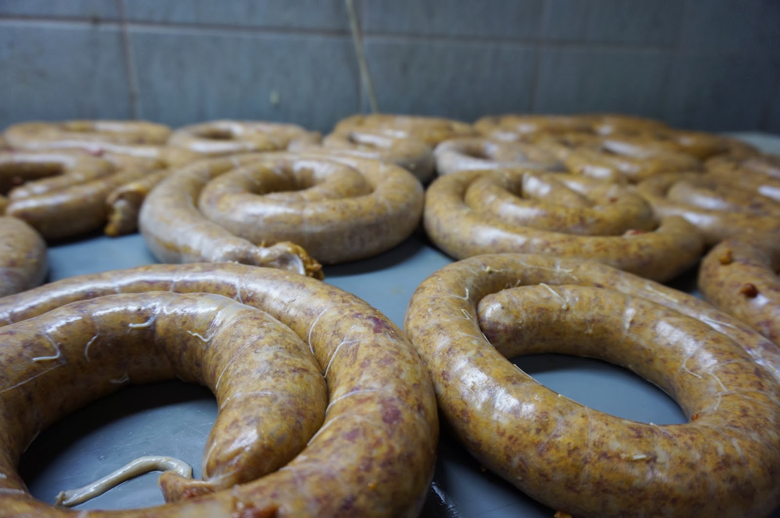 Passport Perspectives: Diszno Vagas (pig killing)