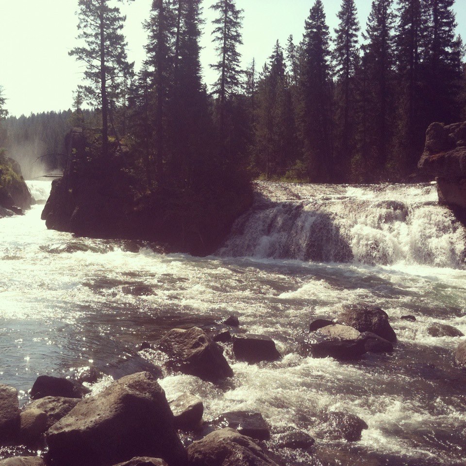 North Fork Fly Fishing: Fall River, Idaho