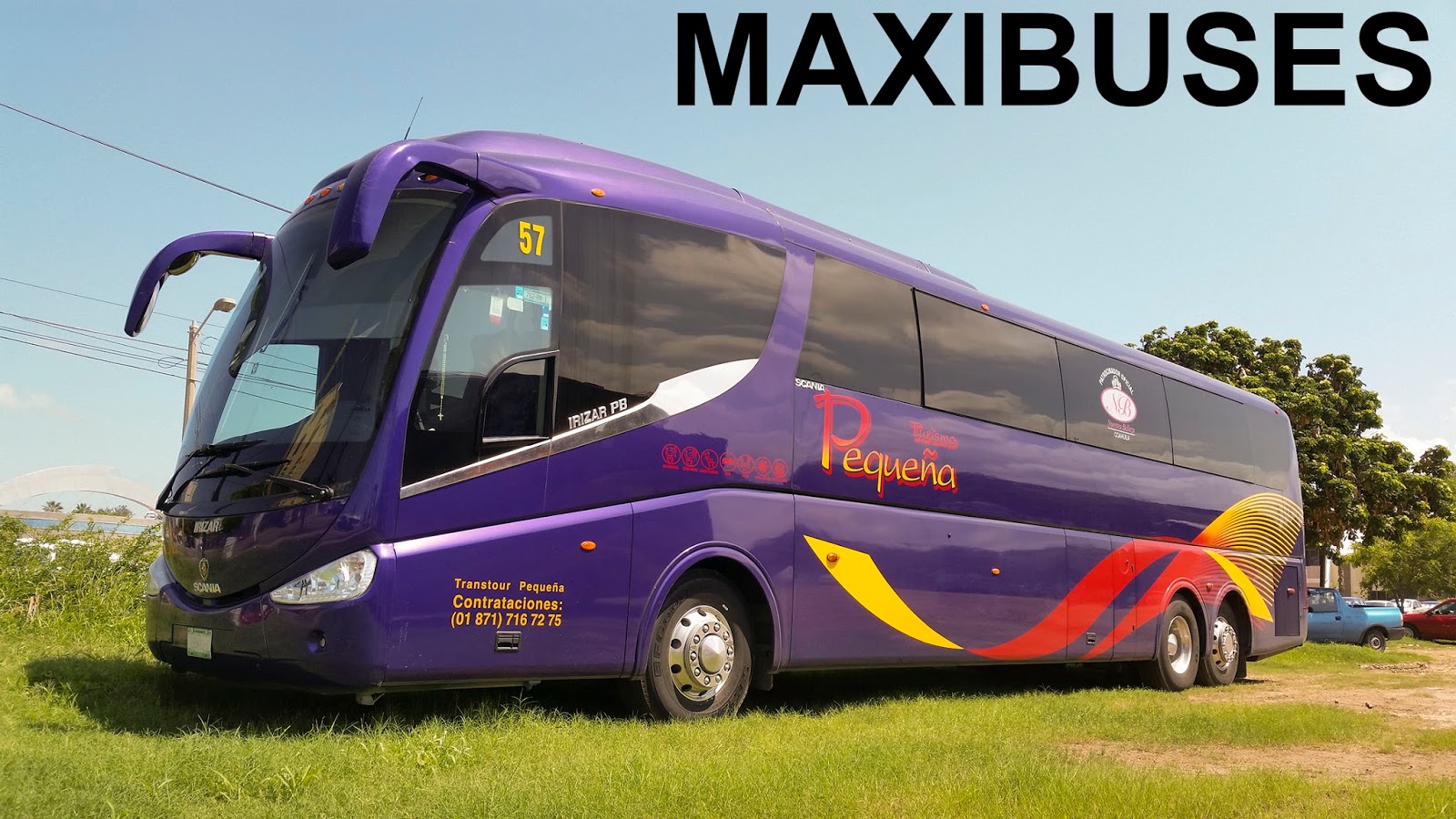 MAXIBUSES: AUTOBUSES TURÍSTICOS PEQUEÑA PLATINUM (TURISMO)