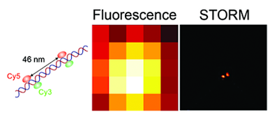 The Cellular Scale: 2013
