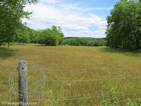 Farmgirl Fare: Tail End of the Week: Get Your Friday Farm Fix #12