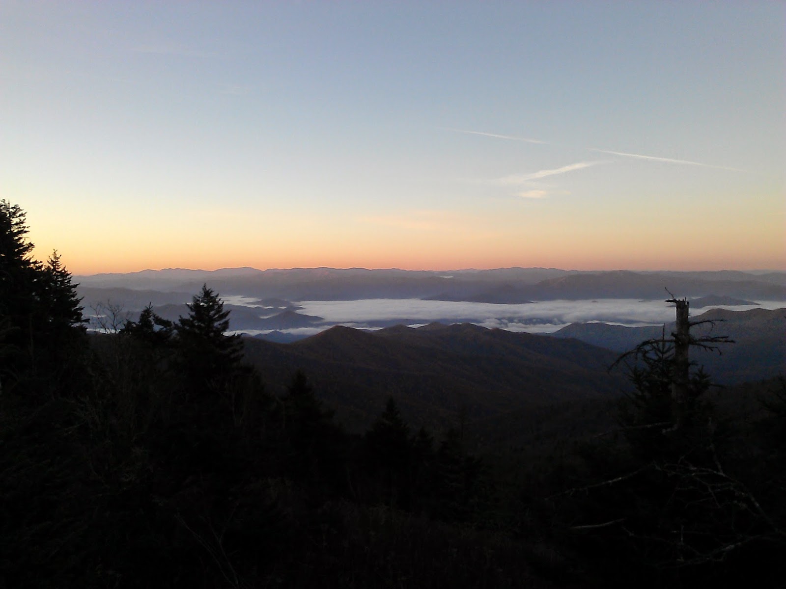 Hikes: Clingmans Dome - AT - Welch Ridge - High Rocks - Bear Creek ...
