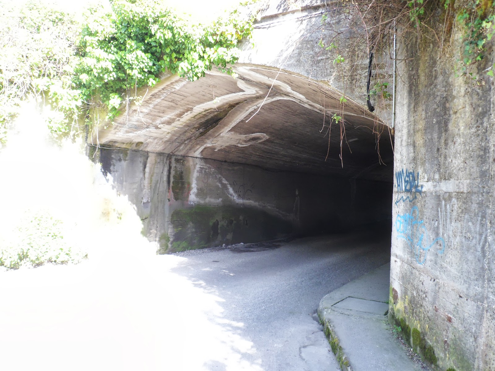 Senda BTT: Apeadero FEVE de Avilés - Embalse de Trasona - Monte'l Pando ...