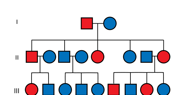 Ciències Naturals a l'Institut Joan Brudieu: TUTORIAL TREBALLS ON LINE