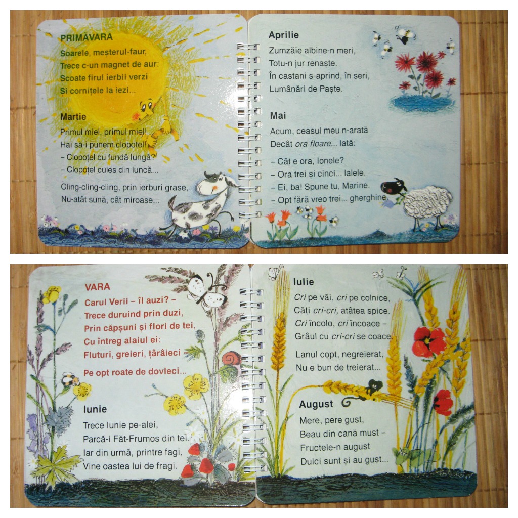 Șotron: Anotimpurile