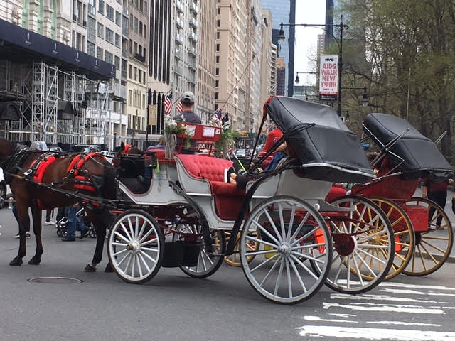 Carriage Horses - NYC: NYC CARRIAGE HORSE HACK LINES -- BOONDOGGLE OR ...