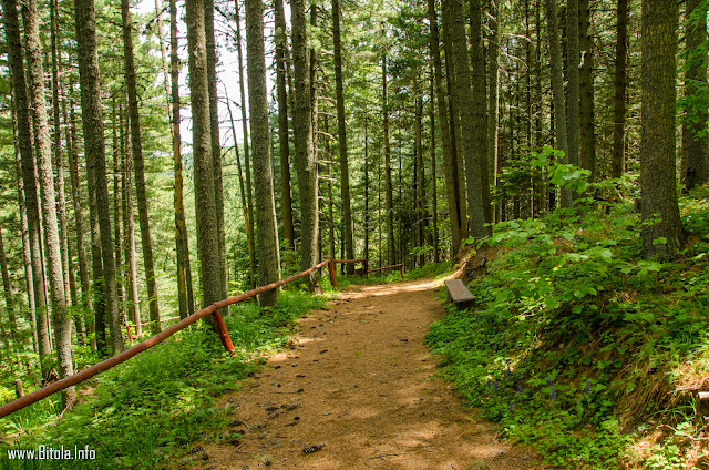 Pelister - The Oldest National Park in Macedonia - Macedonia Nature