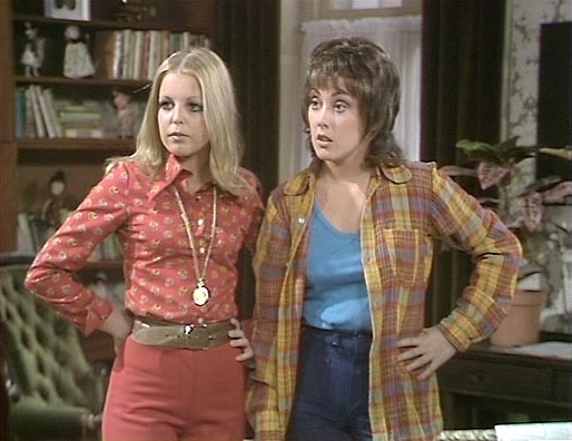 ¡A ponerse series! (VIII): Un hombre en casa & Los Roper