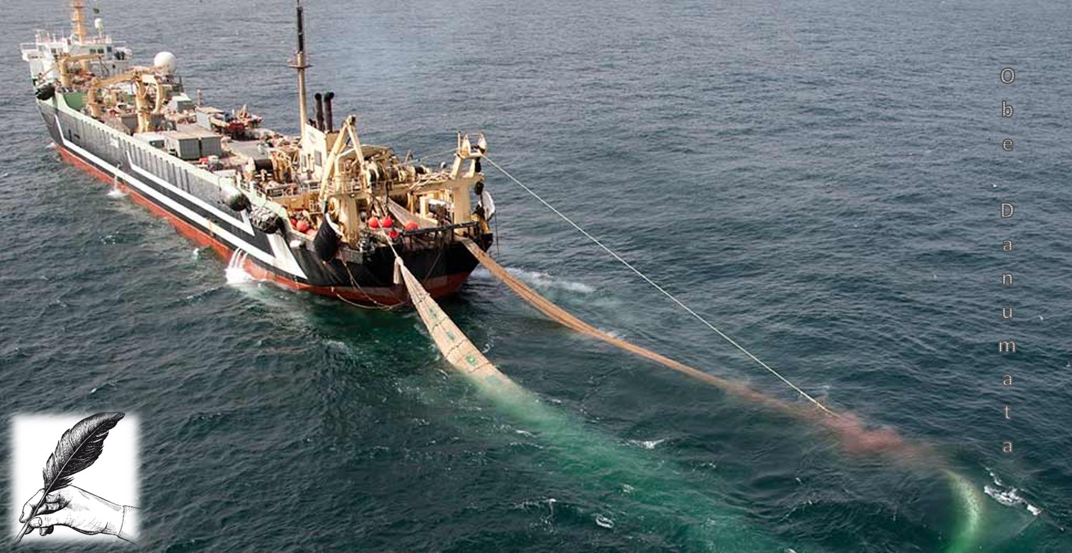 How do Trawlers Fish?