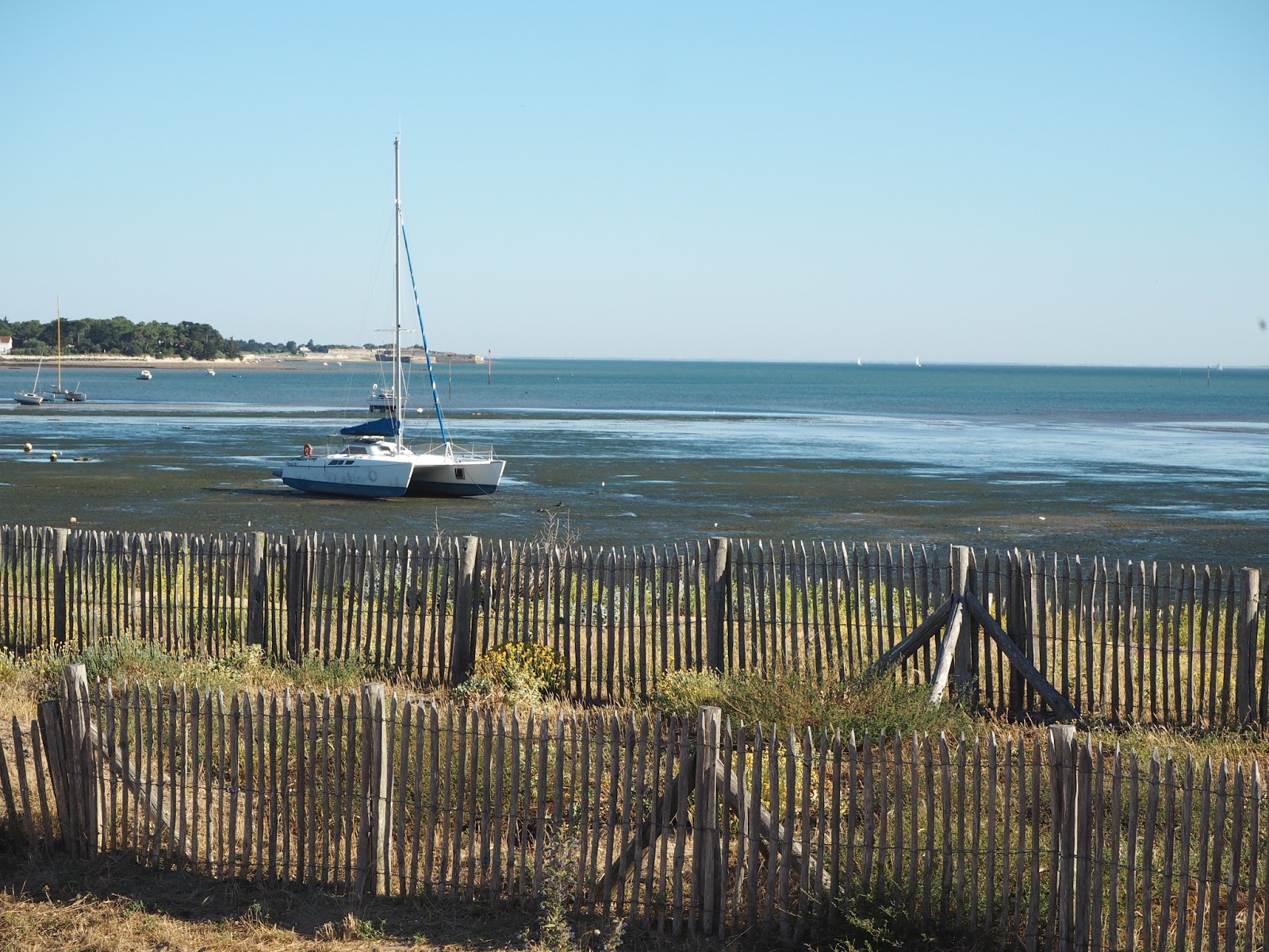 Travel - The Ile de Re, France {part 2} - Roses and Rolltops