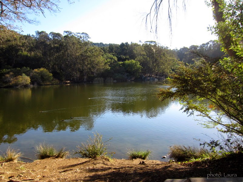 wild women walking: Tilden Regional Park | Lake Anza to Inspiration Point