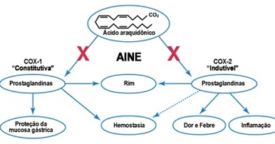 Medicina , um aprendizado constante: AINES ( Anti-inflamatórios não ...