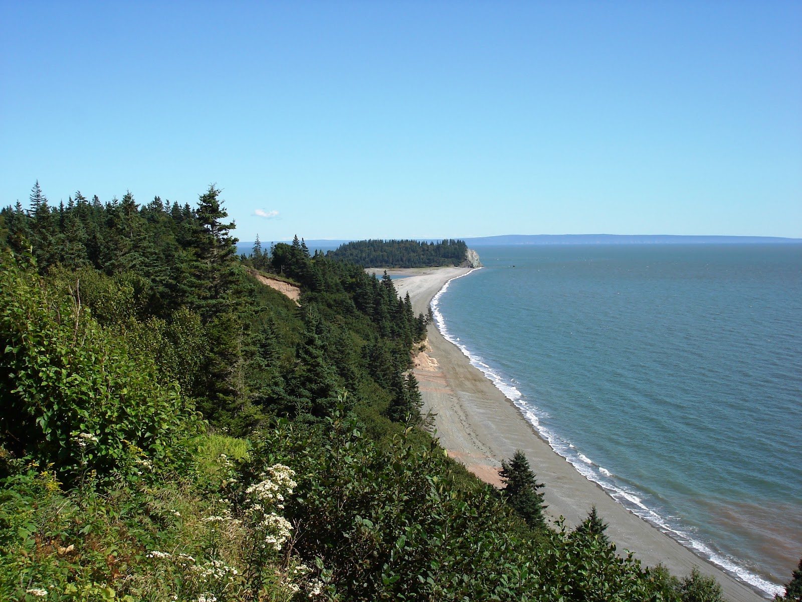 Whalen's Wanderings: FFP 2012: The Beaches