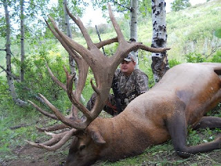 Pending World Record Bull Elk