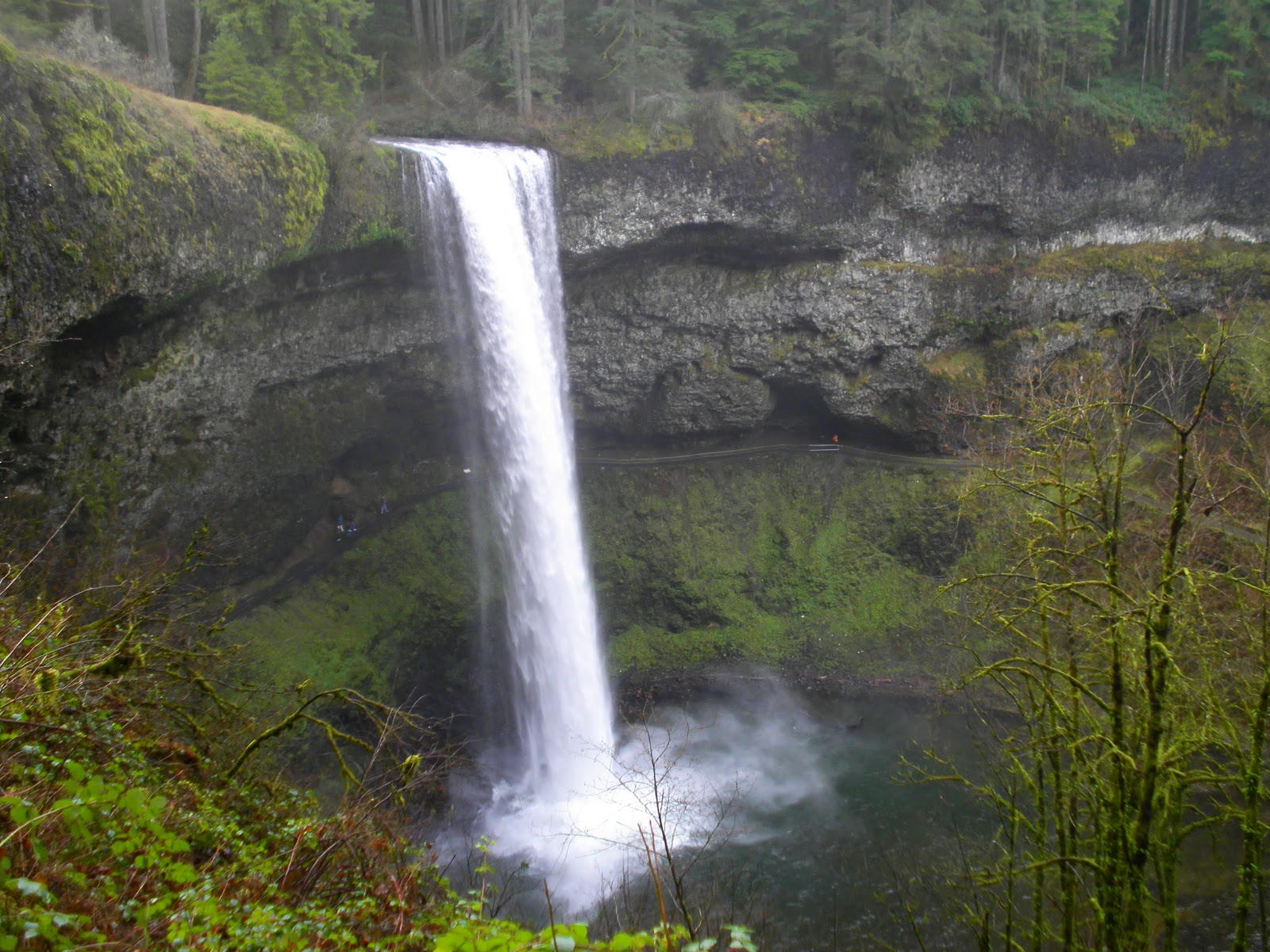 Black Watch Sasquatch: Silver Falls State Park - Silverton, Oregon