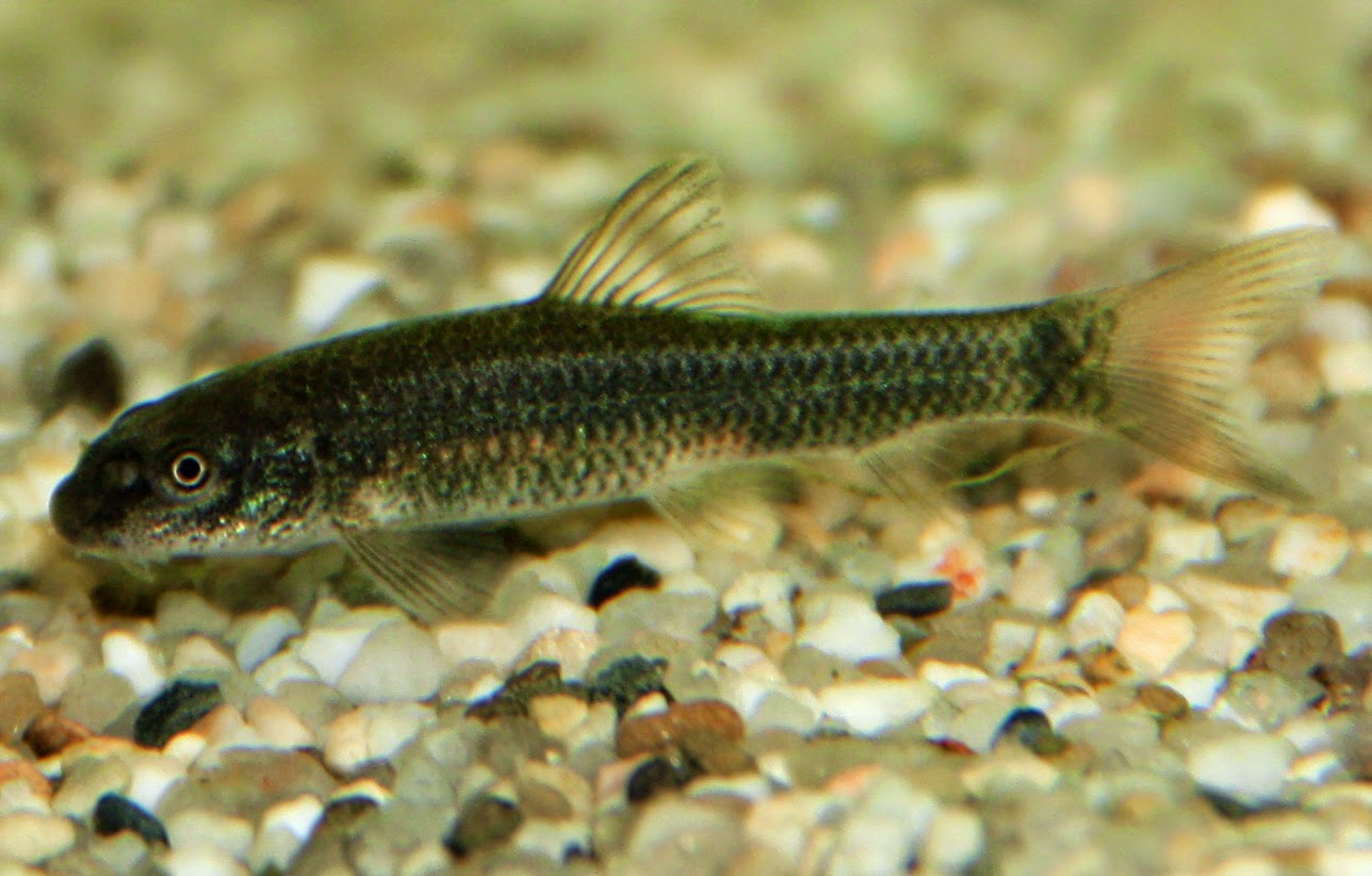 Beyond the Classroom - some random thoughts of Sir Tristan: A BIG NO TO ...