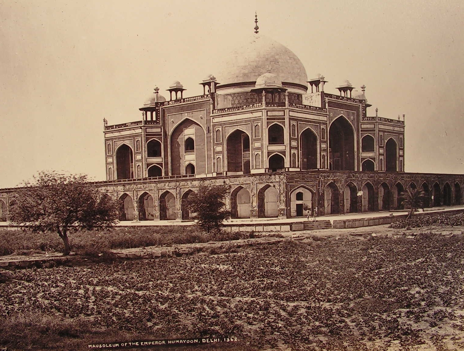 Photographs of Old Delhi From the 19th Century ~ Vintage Everyday