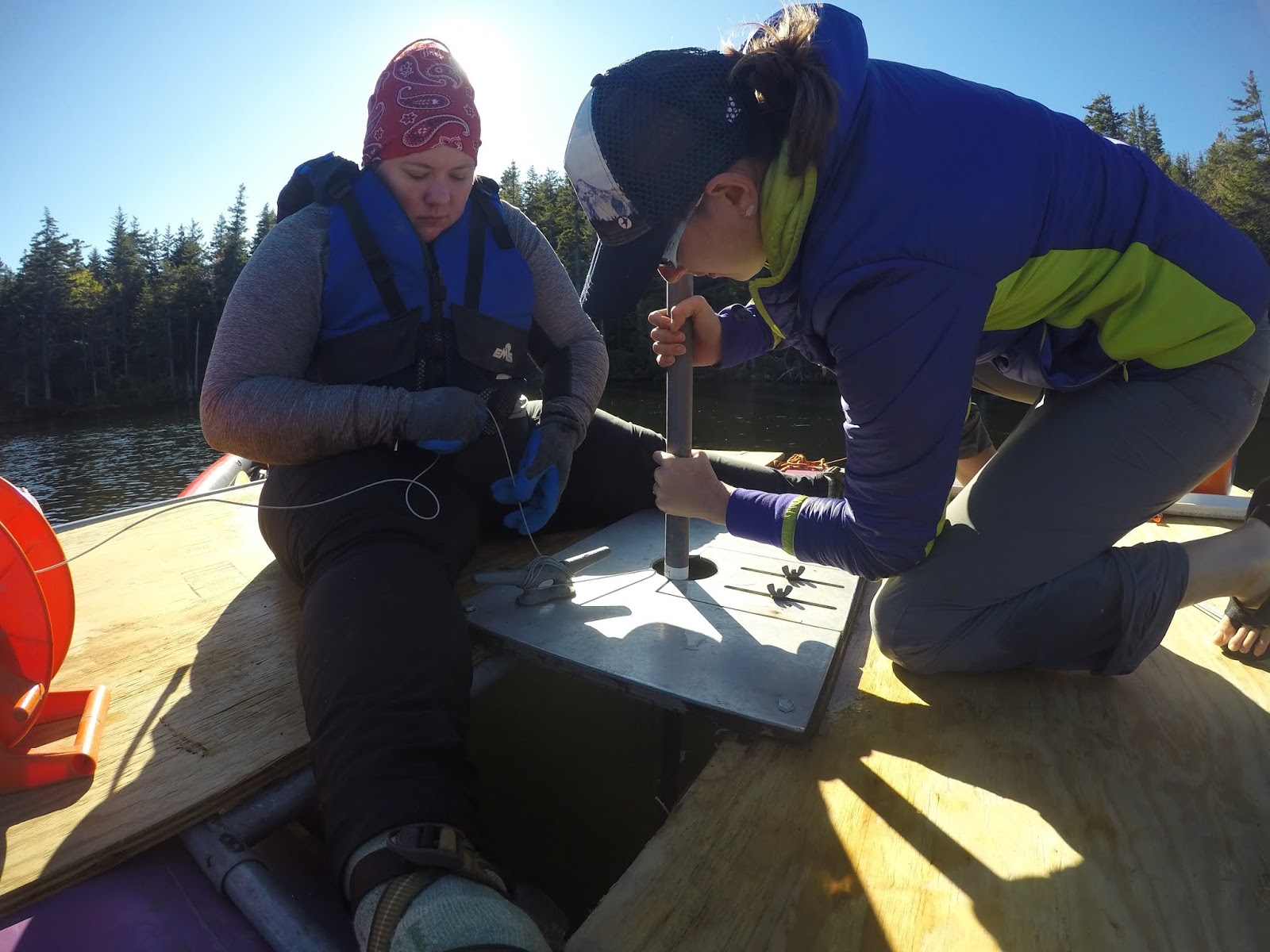 How to Become a Paleobiologist