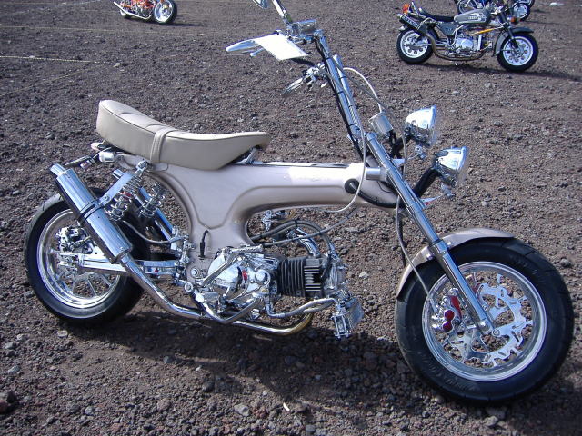 MOTORCYCLE 74: Custom mopeds