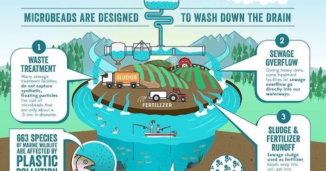 Groups Press DOH, FDA to Ban Plastic Microbeads in Personal Care and ...