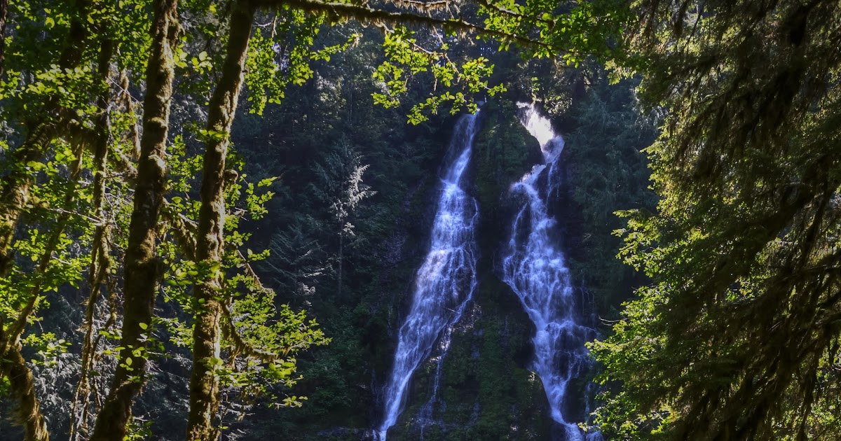 nature big nature small: Feature Falls, boulder river trail , Arlington, Wa