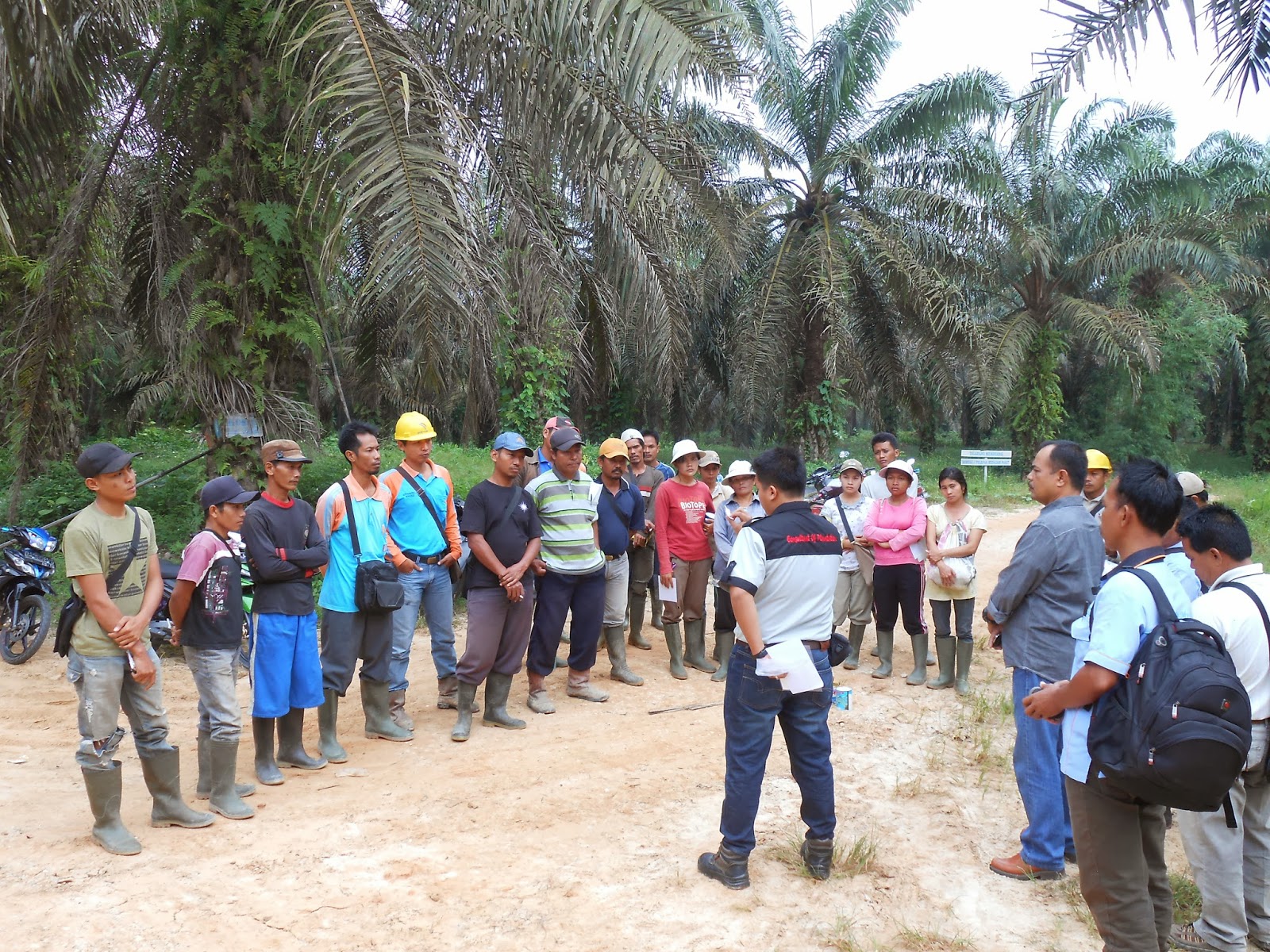 PT ASA TENERA PRIMA: PELATIHAN LSU (leaf sampling unit)