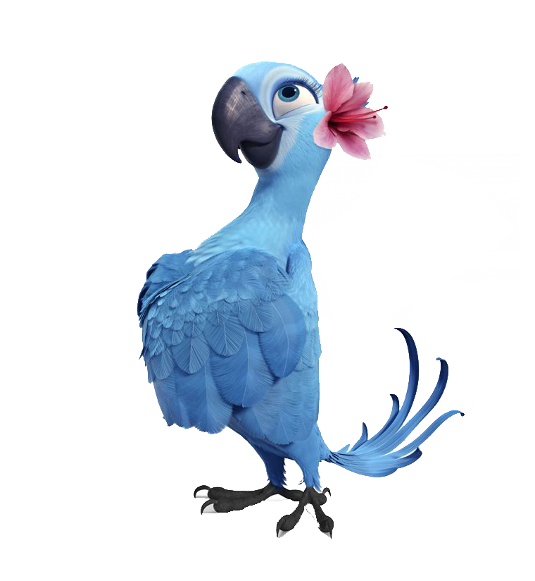 Render - Rio | Renders Dez