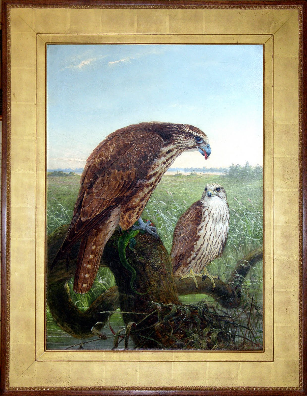 Fine Art Offering of the Day: "Saker Falcons." Joseph Wolf (1820- 1899)