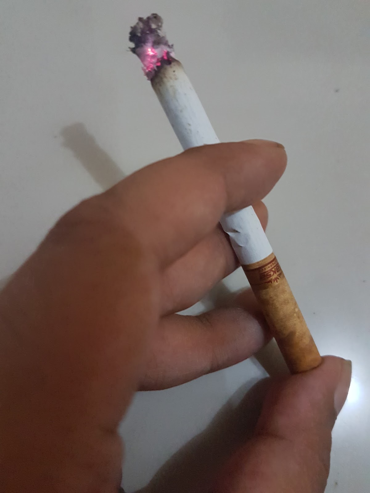 Laksa, SKM Full Flavor Value For Money Lokal dari Gandum