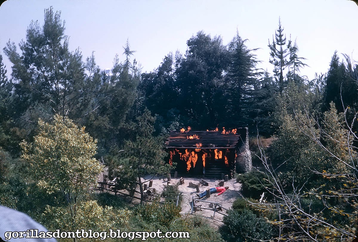GORILLAS DON'T BLOG: Burning Settler's Cabin