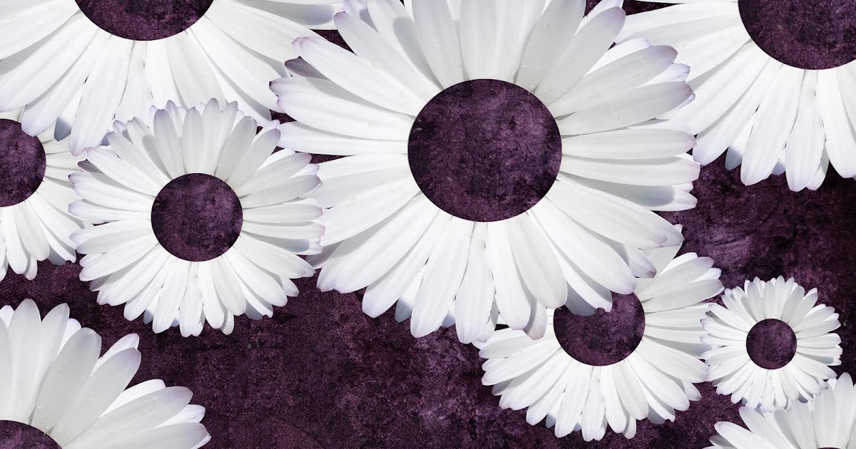 4 Free Purple Daisy Tumblr Backgrounds | ibjennyjenny Free Resources