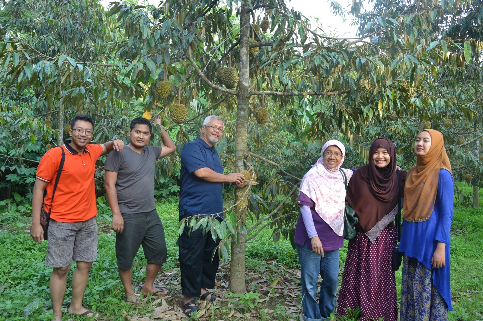 KEBUN DURIAN CANDIMULYO: Berburu Durian Montong di dusun Munung