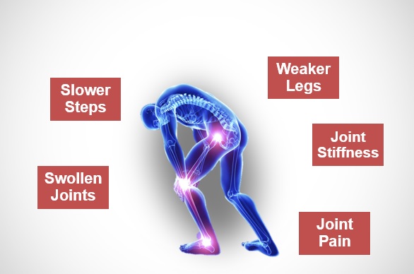 PHHP Online Marketing - PHHP Phyto Products: PHHP PhytoFlex ...