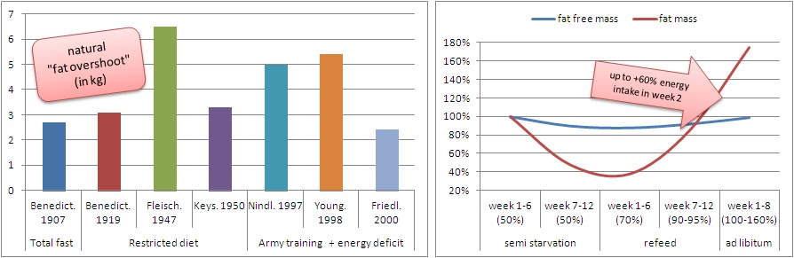 The Diet Trap Revisited: Yo-Yo Effect, Decreased Basal Metabolic Rate ...