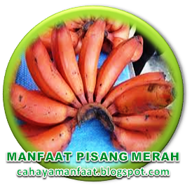 Manfaat Pisang Merah - Cahaya Manfaat