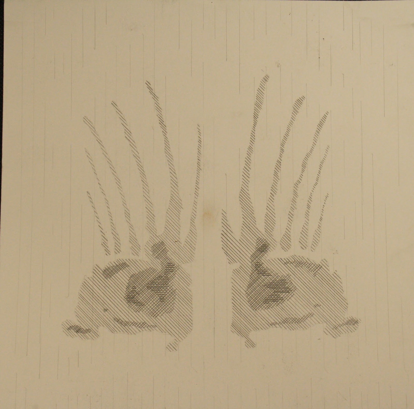 Horta's Corner: Danielle Fitzsimmons - Project One - Week One