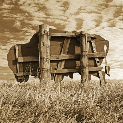 a perfect gray: sepia tone photographs