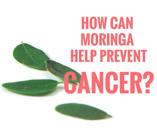 Moringa prevent Cancer