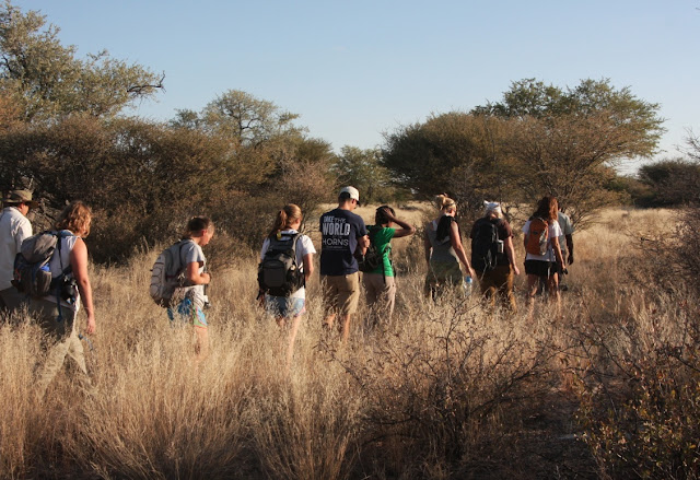 Study Abroad, Botswana: Onsite San Bushman Walk & Dance