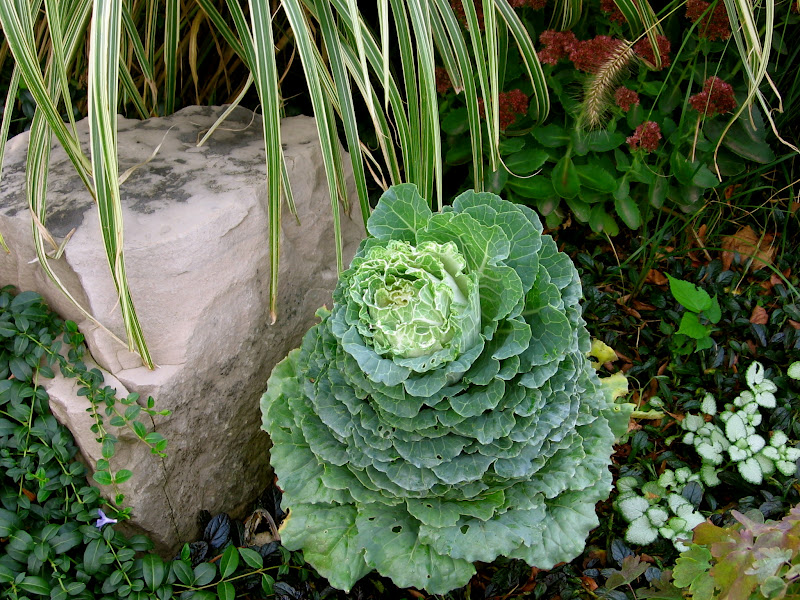 Astrid's Garden Design: Combining Plant Textures in the Garden