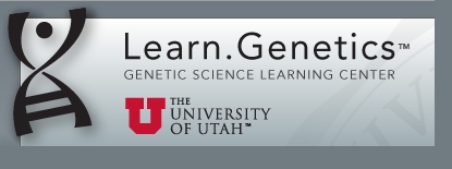 Helios Labs: Learning Genetics