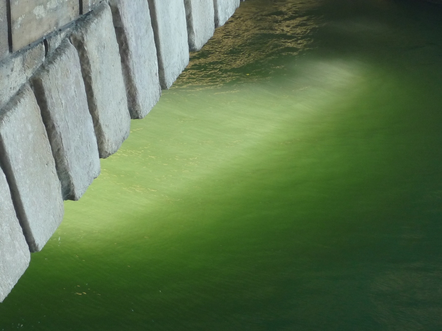 La Belleza y el Tiempo: Catarro